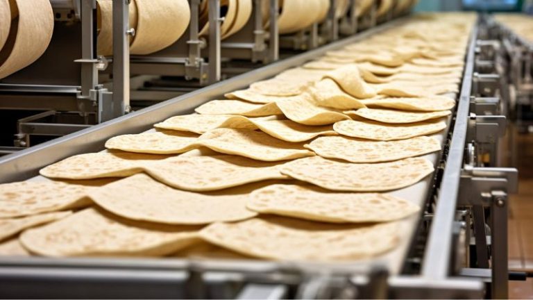 PTFE Conveyor Belts for Maximum Food Processing Efficiency